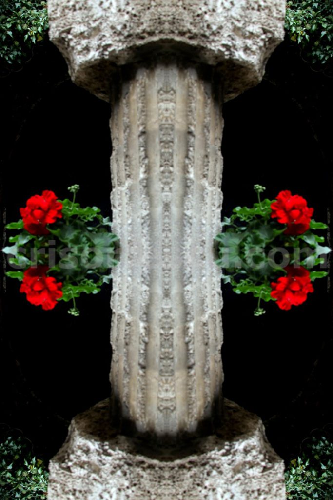 Levitating Column with Geraniums – Surrealism Photography – Cris Orfescu
